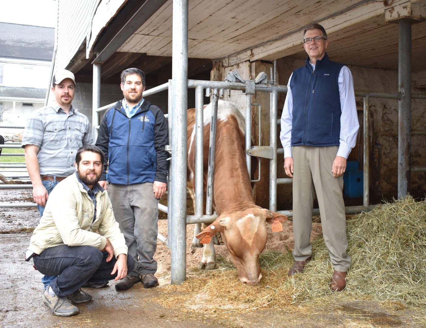 Masterpiece Genetics | Triple-Hil Sires